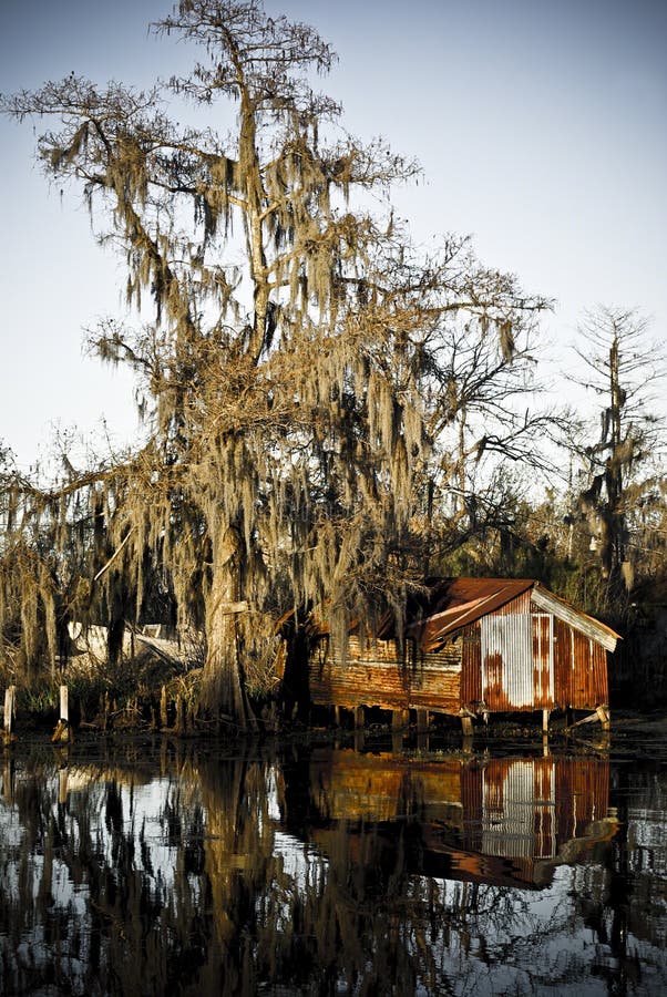 A Steel Shack Reflected in the Water of a Swamp Stock Photo - Image of ...