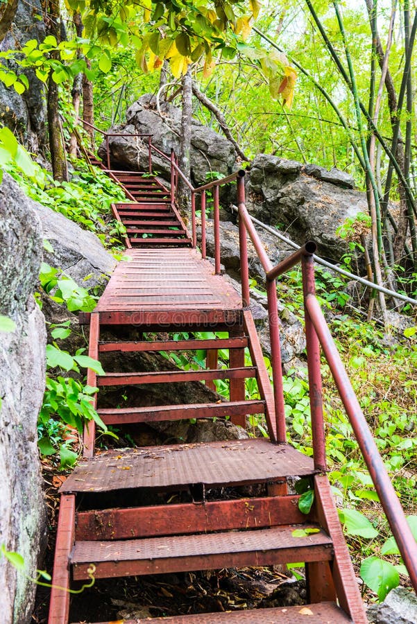 Steel stairs in forest stock photo. Image of staircase - 185831412