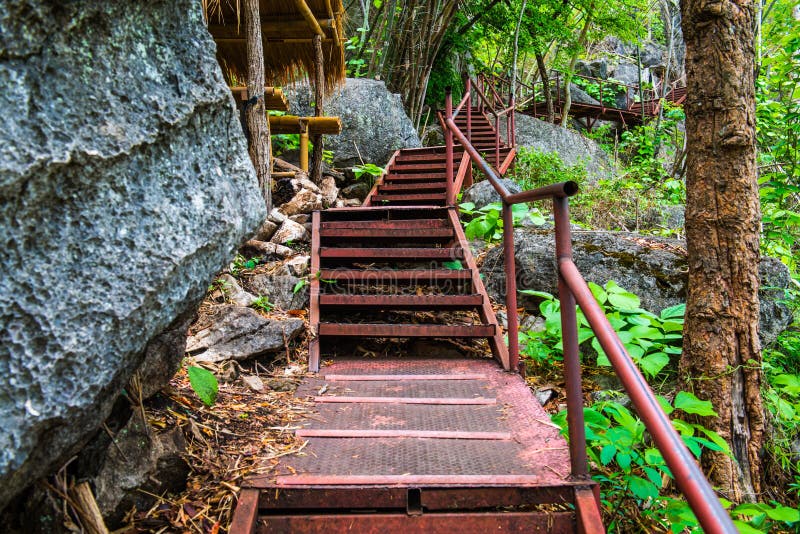 Steel stairs in forest stock image. Image of staircase - 185831547