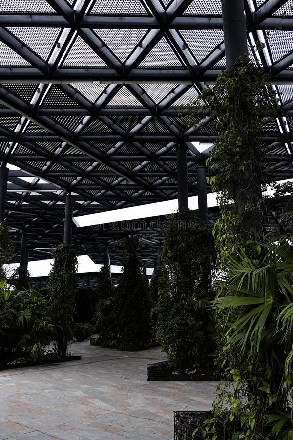 Steel Structure with Triangular Pattern and Climbing Plants Stock Image ...