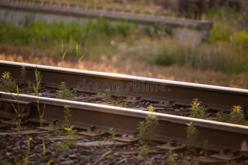 Steel Train Tracks stock photo. Image of path, road, perspective - 94159994