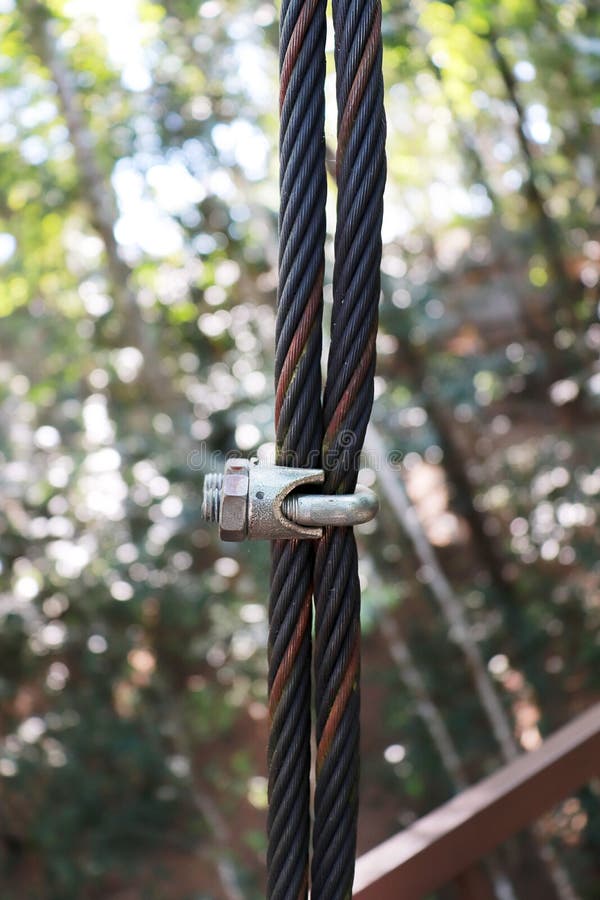Steel Wire Rope Sling Clip on Green Nature Stock Image - Image of ...