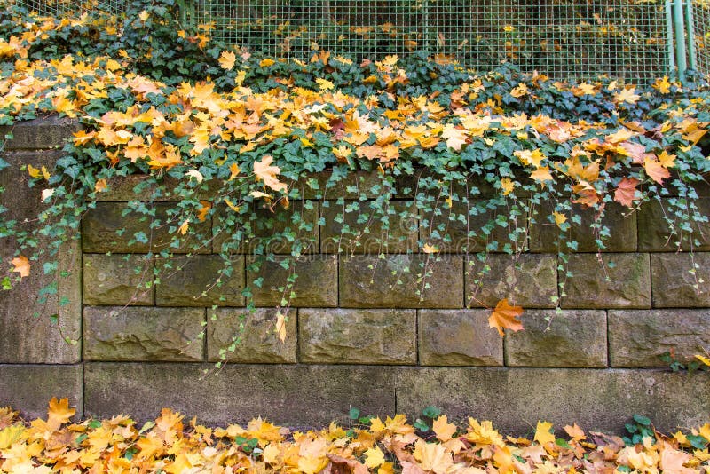 Geel Doodsgebaar Met Blauwe Hemel En Houten Palen Stock Foto - Image of ...