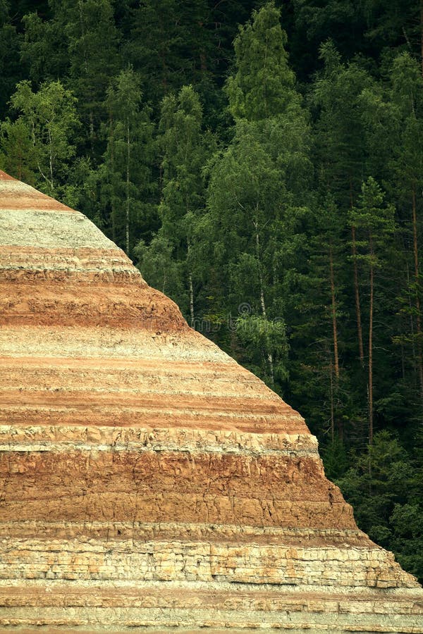 Steep Bank Canyon Green Forest Stock Photo - Image of park, adventure ...