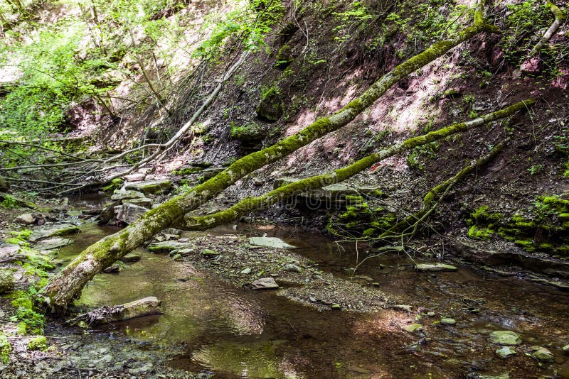 Evening on the steep bank stock photo. Image of hill - 30190782