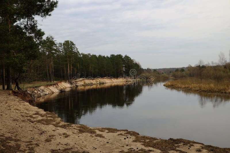 The Steep Bank of the River Along the Forest with a Beautiful Sky Stock ...