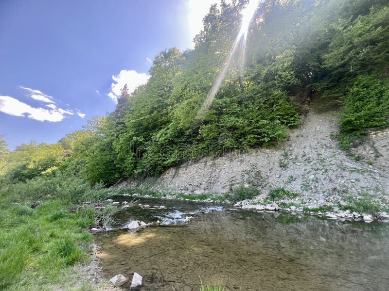 Steep Cliff Adjacent Directly To the River among Beautiful Greenery and ...