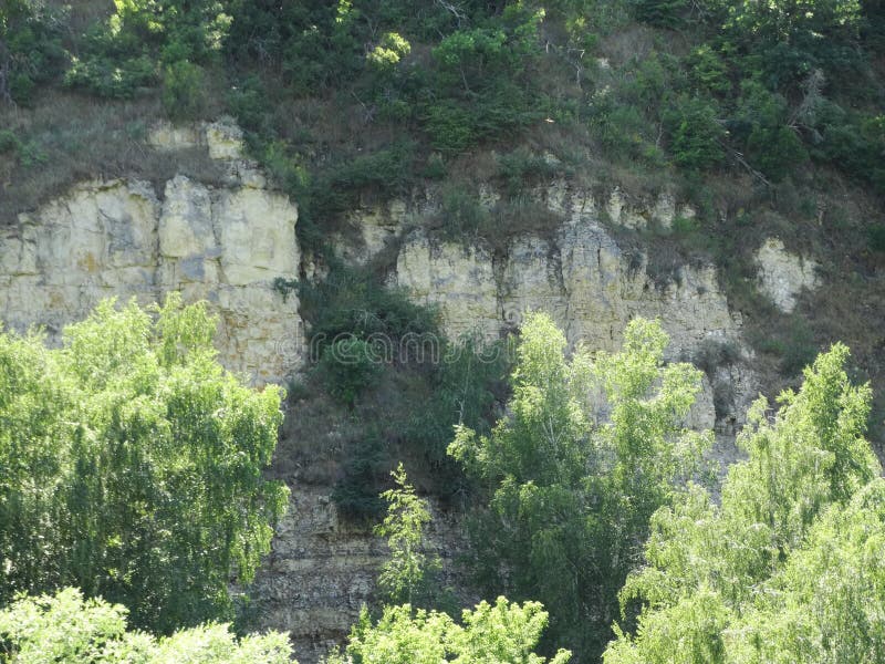 Steep cliffs in the gorge stock photo. Image of grass - 150582046