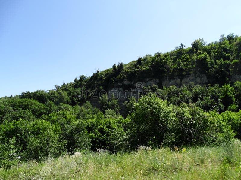 Steep cliffs in the gorge stock photo. Image of river - 150583142