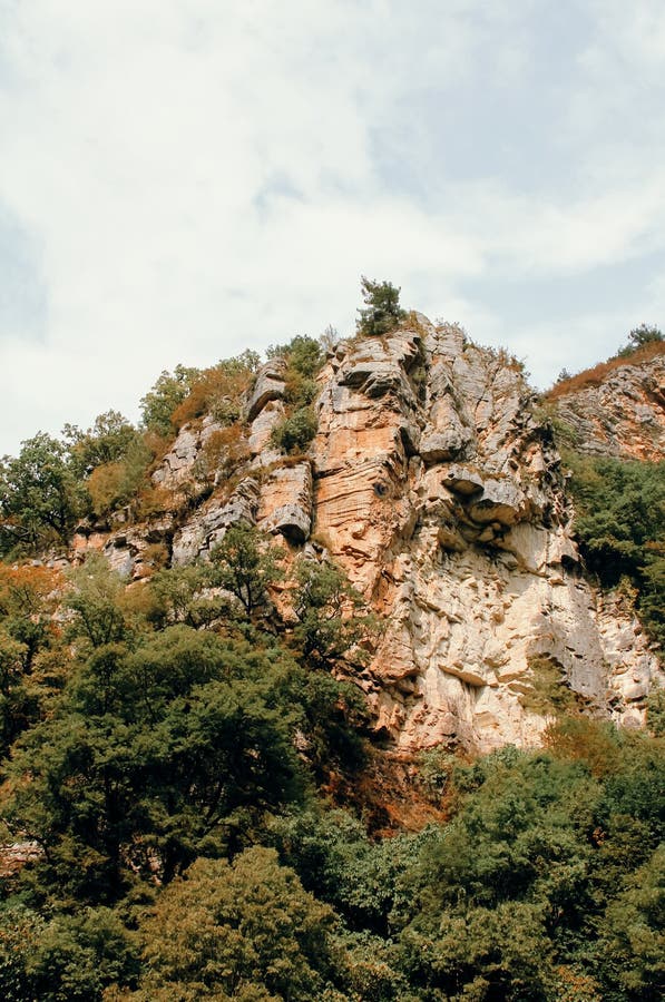 Steep Cliffs Overgrown with Trees Stock Photo - Image of hike ...