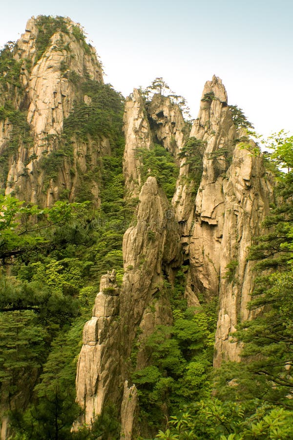 Steep Cliffs and Pine Trees, Huangshan, China Stock Image - Image of ...