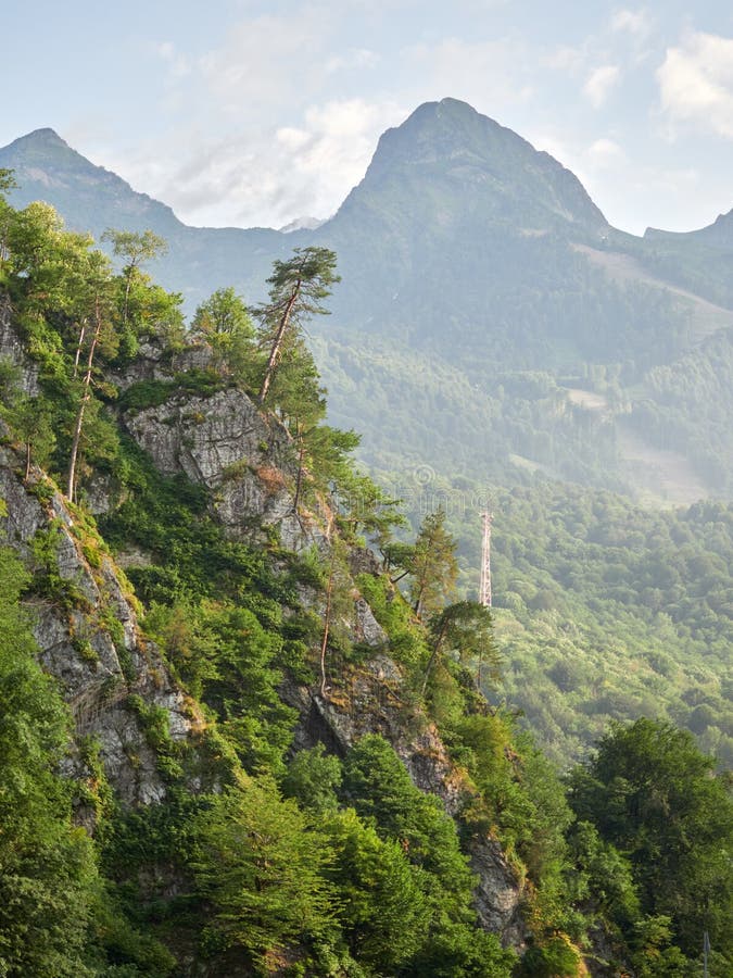 Steep Cliffs with Pines Growing on Them Stock Image - Image of ...