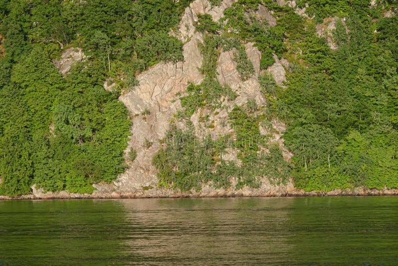A Steep Cliffside with Trees Diving into a Fjord Stock Image - Image of ...