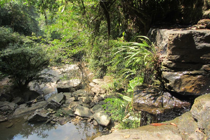 A Steep Drop stock photo. Image of green, venezuela, cliff - 76490086