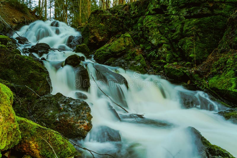 A Steep Forest Stream that Turns into a Small Waterfall Stock Photo ...