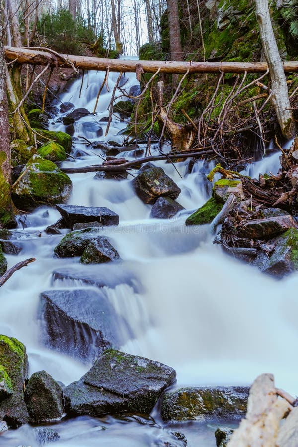 A Steep Forest Stream that Turns into a Small Waterfall Stock Image ...
