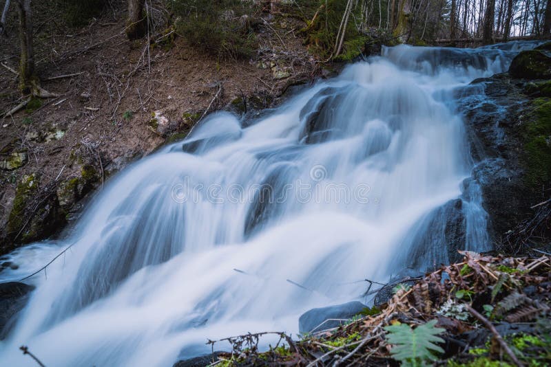 A Steep Forest Stream that Turns into a Small Waterfall Stock Image ...