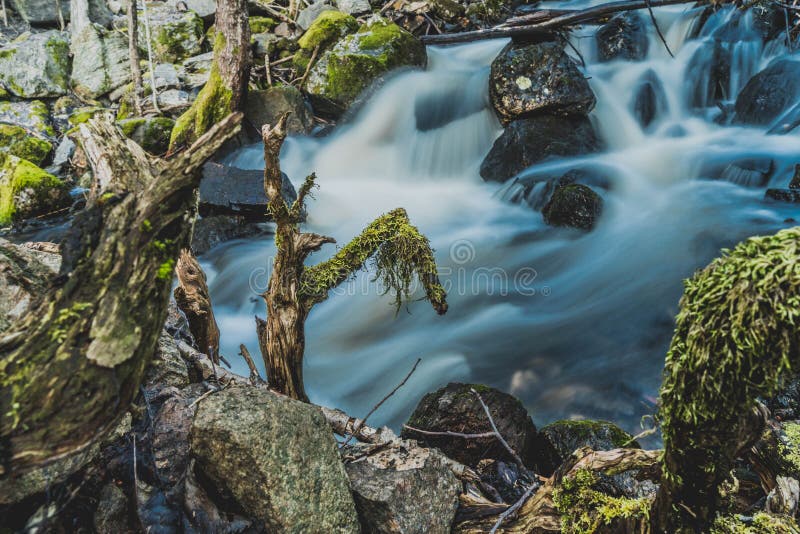 A Steep Forest Stream that Turns into a Small Waterfall Stock Photo ...