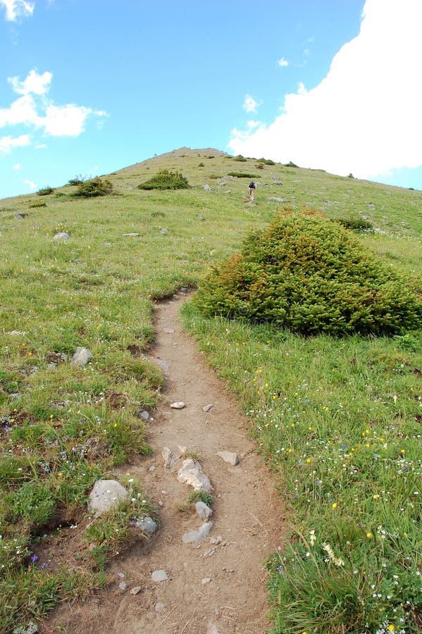 Steep hiking trail stock image. Image of lakes, kananaskis - 6098849