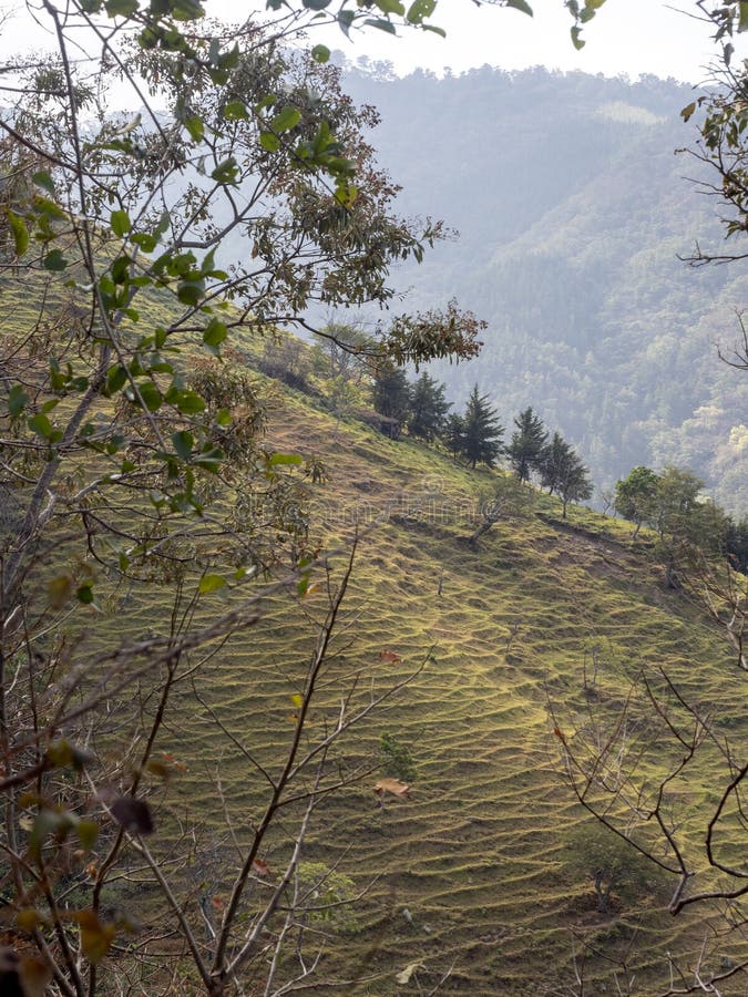 Steep hills in Salvador stock photo. Image of steep - 142868726