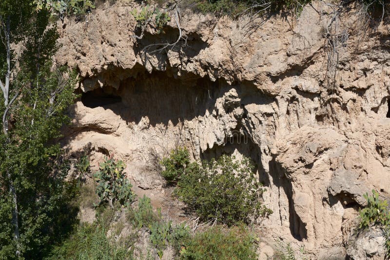 Steep Mountain with Pine Trees and Blue Sky Stock Image - Image of land ...