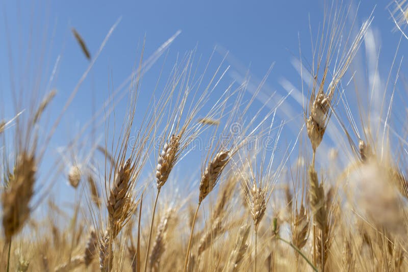 The Steep Mountains Behind the Wide Fields, Antalya Taurus Mountains ...