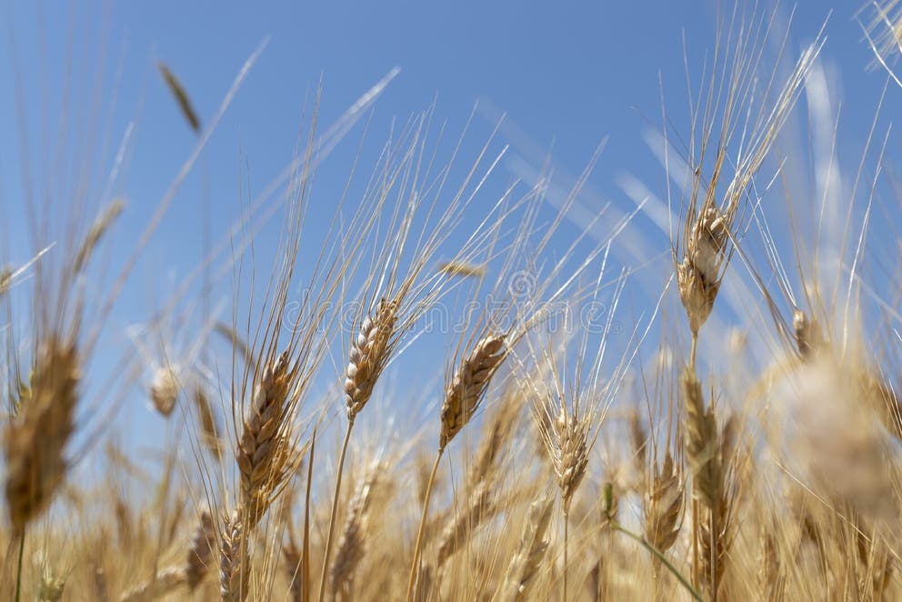 The Steep Mountains Behind the Wide Fields, Antalya Taurus Mountains ...