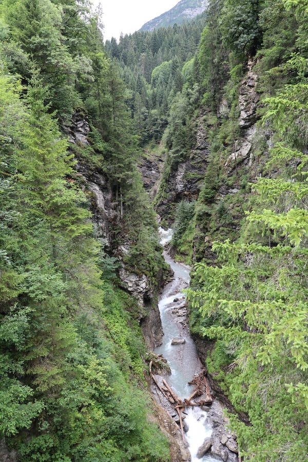 Steep and Narrow Gorge with Evergreen Trees on the Flanks and a Fast ...