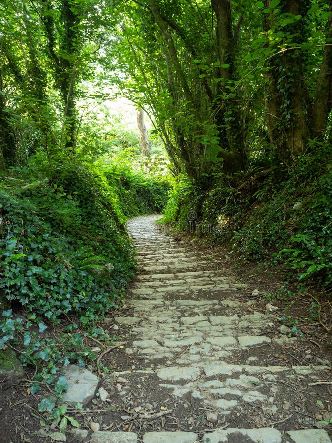Steep Stone Steps on a Deciduous Woodland Path in Summer Stock Image ...