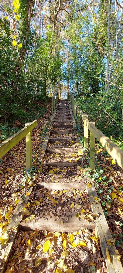 Trail Steps at the Mudjin Harbor on Middle Caicos in the Turks and ...