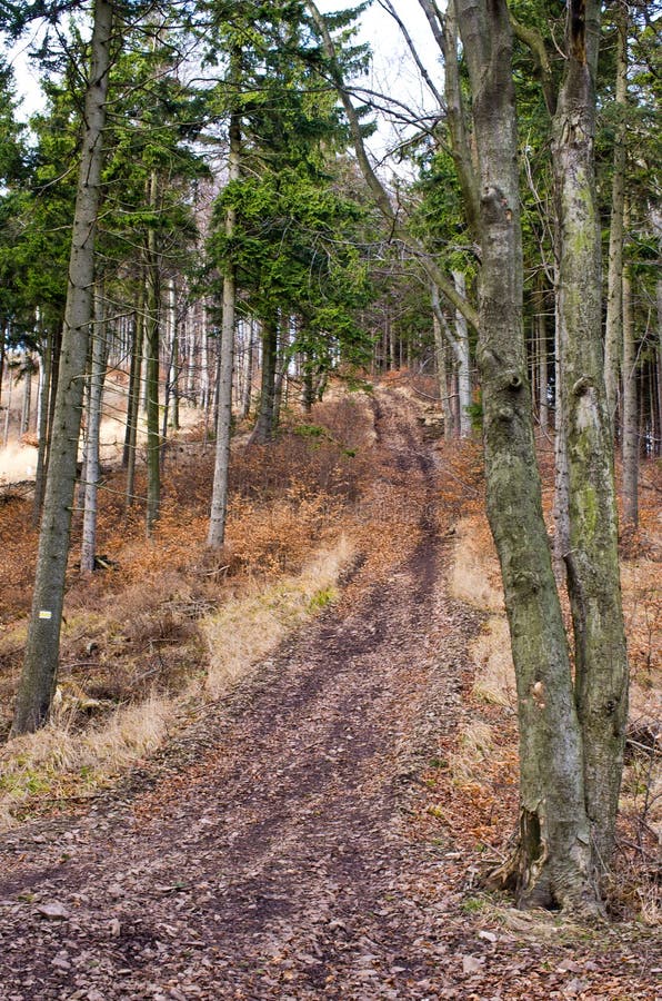Steep path stock image. Image of nature, road, scenic - 37126097