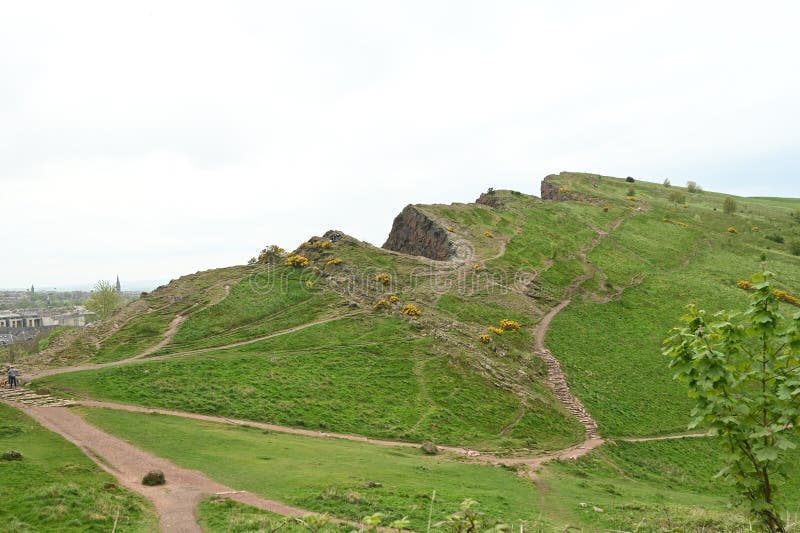Steep Path on a Green Hill with Yellow Flowers Stock Image - Image of ...