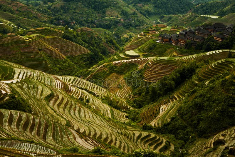 Steep Rice Terrace Mountain Titian Longji Overcast Stock Image - Image ...