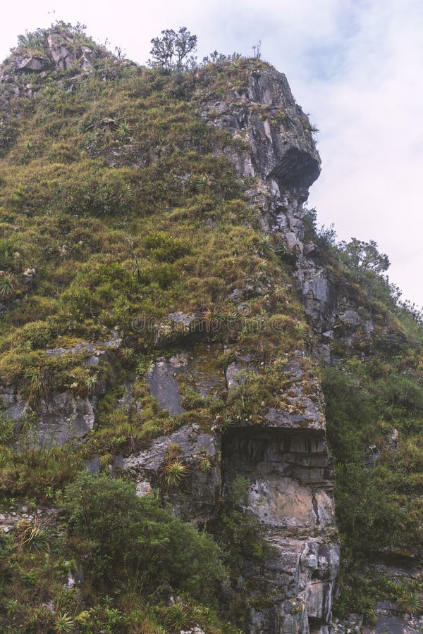 Steep rocky cliff stock image. Image of wilderness, life - 240498259