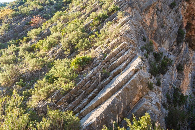 Steep Rocky Cliff with Trees and Bushes Growing on it Stock Photo ...