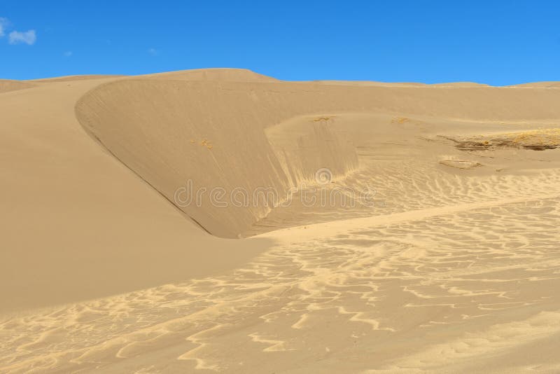 Steep Sand Ridges in the Sand Dunes Stock Image - Image of national ...