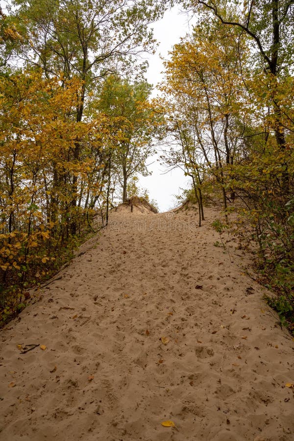 Steep Sandy Trail Toward the Beach Stock Photo - Image of indiana, path ...
