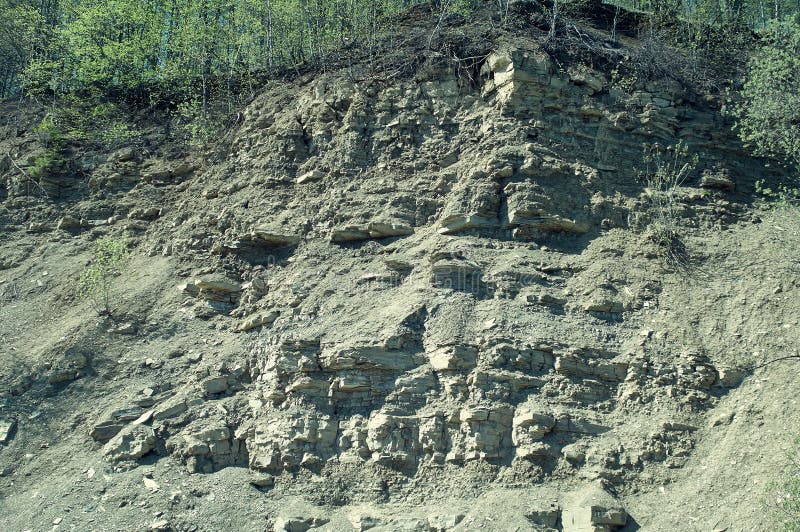 Steep Slope with Green Trees on a Sunny Day Stock Photo - Image of ...