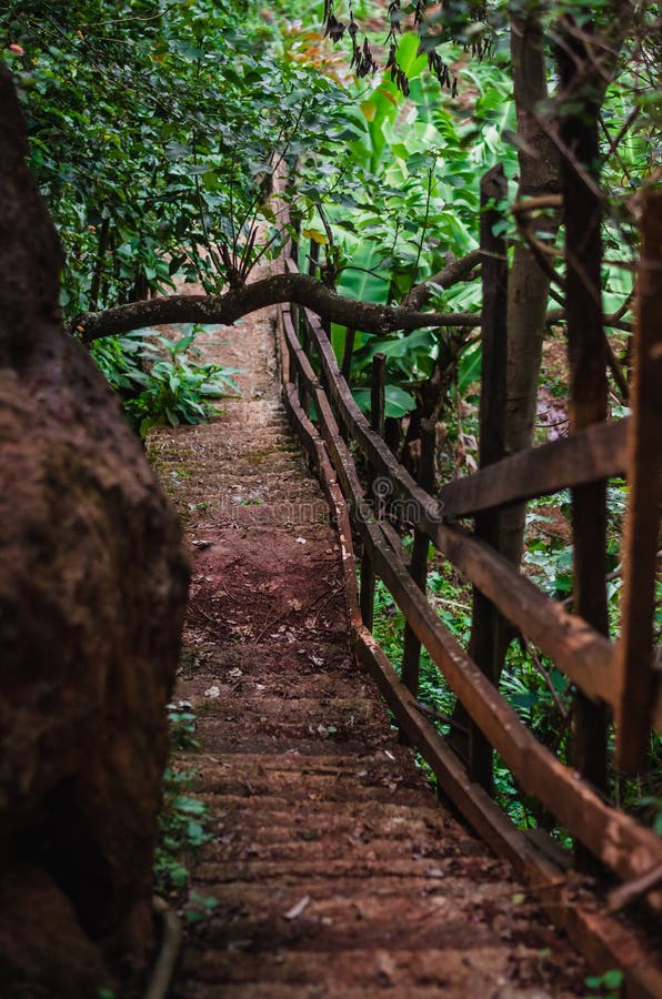 Steep Steps Down a Path in a Forest Next To a Rock Stock Image - Image ...