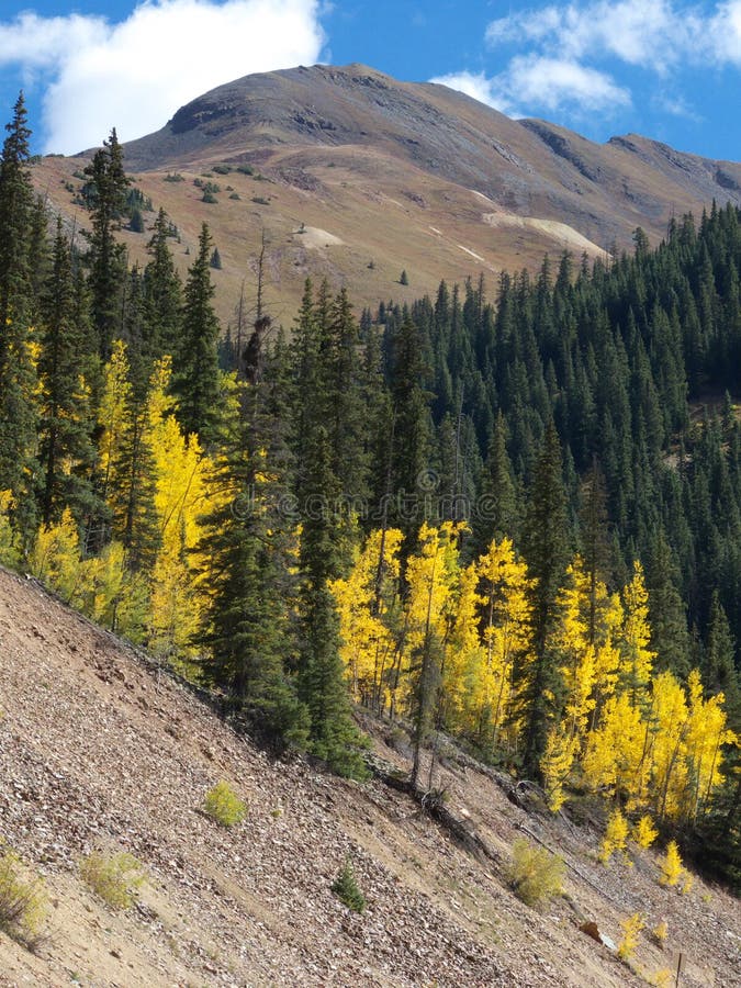 Steep Terrain stock photo. Image of aspen, outdoor, field - 17615148