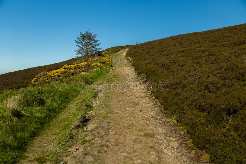1,109 Pathway Side Hill Stock Photos - Free & Royalty-Free Stock Photos ...