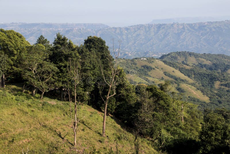 Steep Tree Covered Hillside Leading into Valley Stock Photo - Image of ...