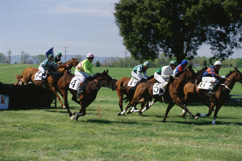 Steeplechase Race editorial stock image. Image of horse - 23147794