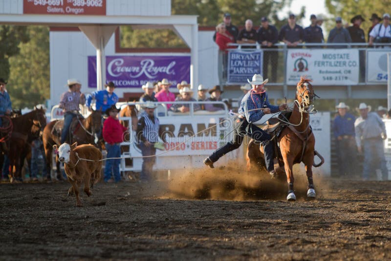 Steer Roping - Sisters, Oregon PRCA Pro Rodeo 2011 Editorial Image ...