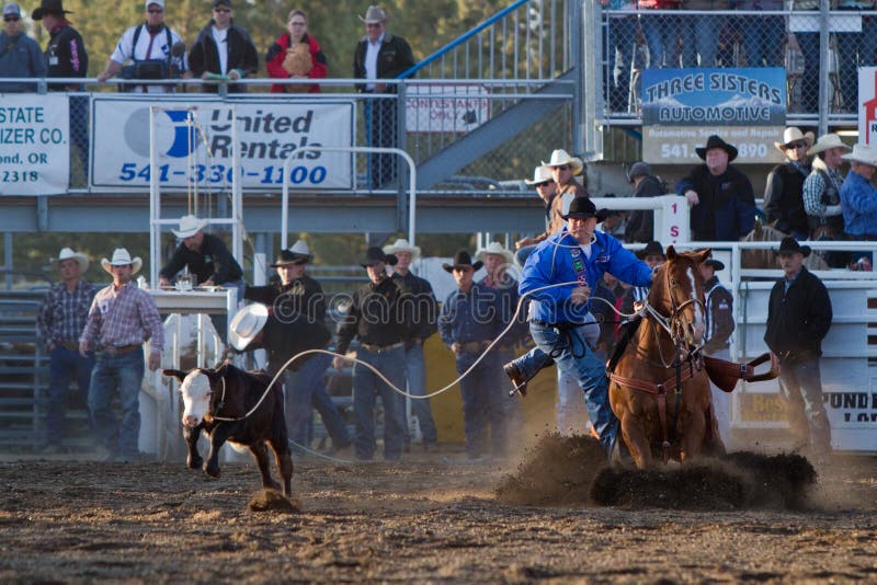 Steer Roping - Sisters, Oregon PRCA Pro Rodeo 2011 Editorial Image ...