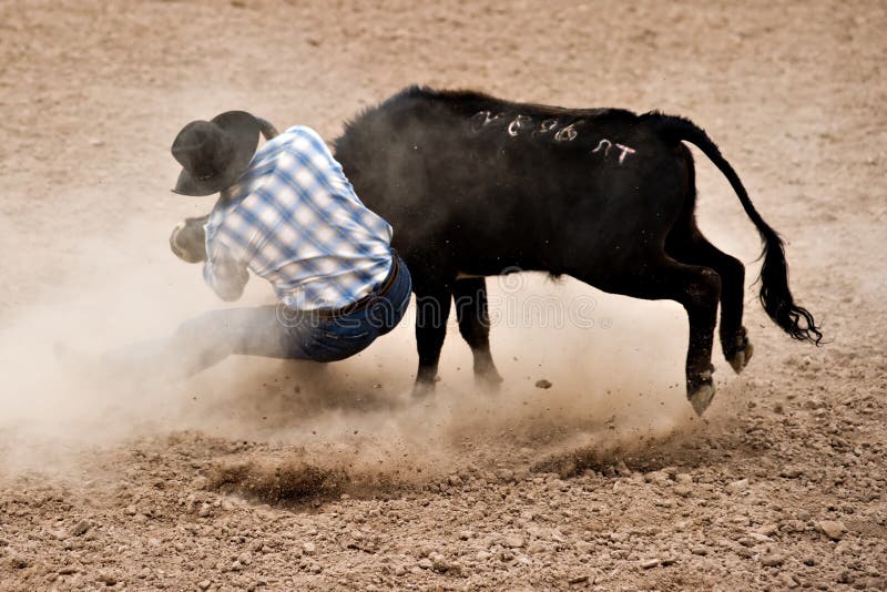 Steer wrestling editorial photography. Image of wrestling - 13266092