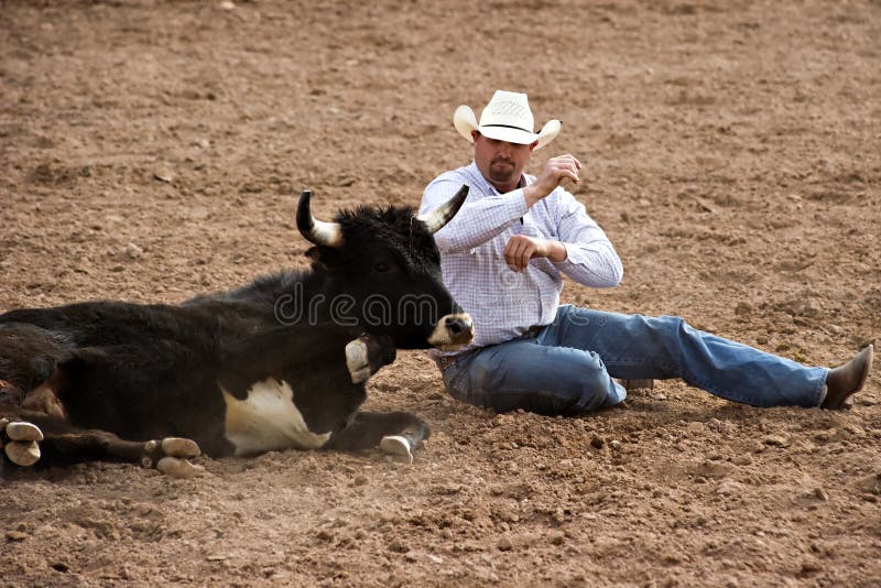 Steer wrestling editorial photography. Image of roping - 13266117
