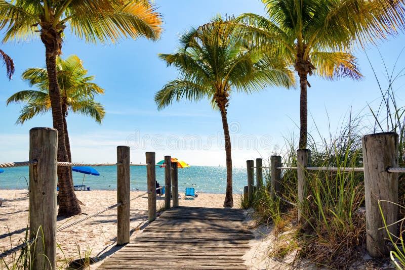 Steg zum Strand stockfoto. Bild von relax, florida, ozean - 99666784