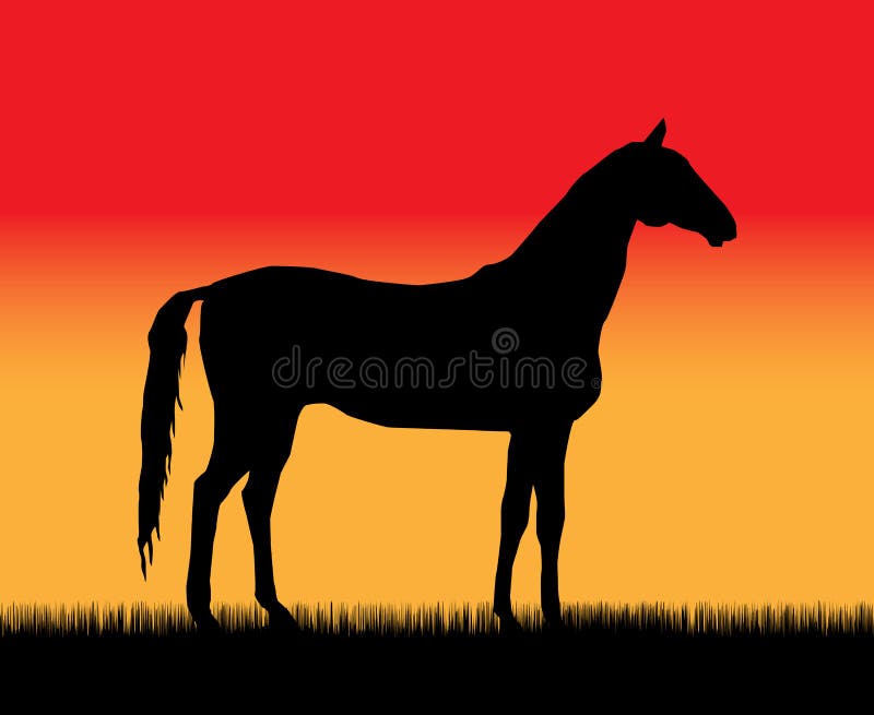 Stehendes Pferd stock abbildung. Illustration von inländisch - 7517768