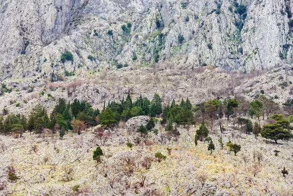 Steile helling van de berg stock foto. Image of berg - 44493554